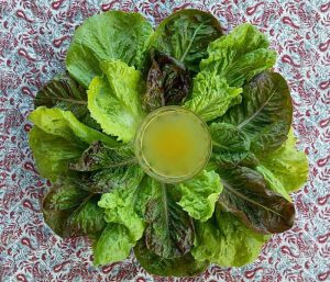 Sizdah Bedar | How Iranians Conclude Nowruz? [Photo+Video]